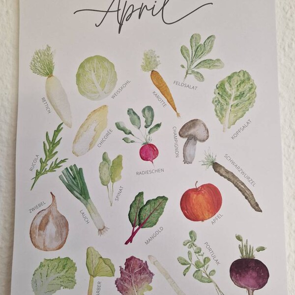 Dein Saisonkalender für heimisches Obst und Gemüse | klimaneutral ...