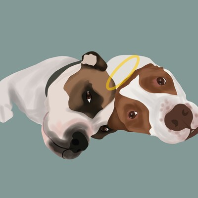 Pet Loss Memorial Portrait, Angel Wings and Halo, Custom Faceless Dog ...