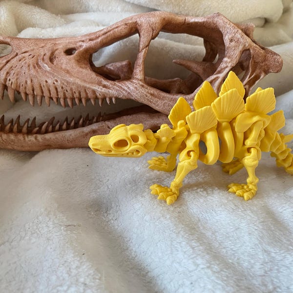 Velociraptor Replica Skull 3D Printed - Etsy