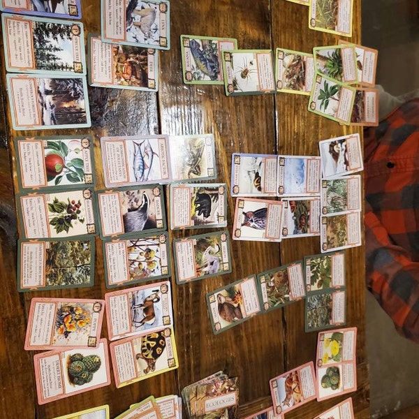 Ecologies Card Game - Gameplay Inspired by Nature - Use Science to ...