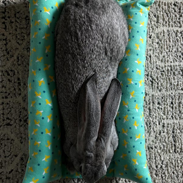 Bunloaf Pillow, Snuggle Bed, Cuddle Bunny Bed - Etsy