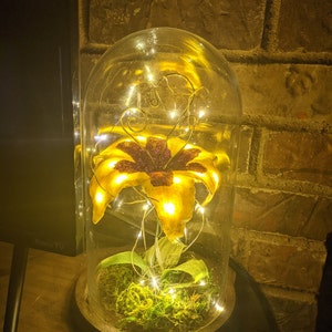 Tangled Flower Rapunzel Flower Tangled Magic Golden Flower Tangled ...