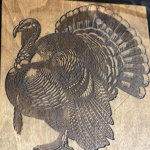 Bluegill Panfish Sunfish Svg Png Dxf Eps Pdf Transparent Vector Graphic ...