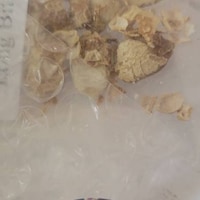 LARGE PACKAGE 300+ Seeds| Garlic Chive Seeds |asian Herb Organic | 韭菜 ...