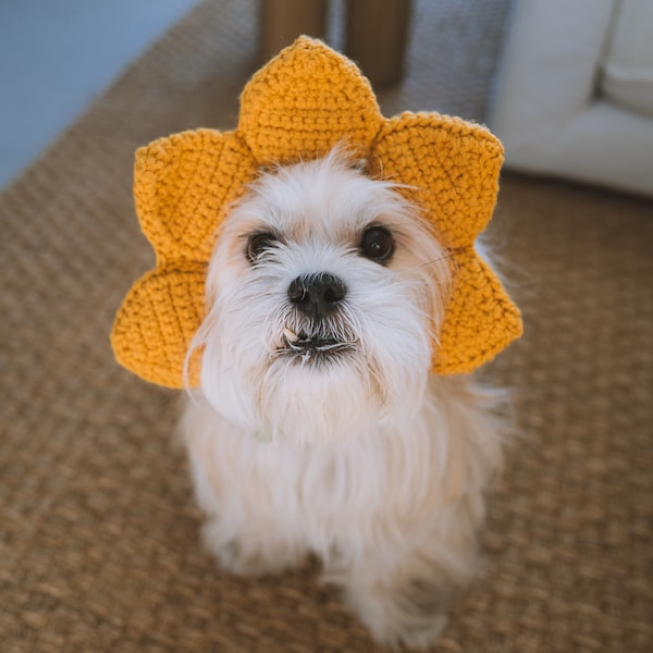 Stitch Hat for Cats, Lilo and Stitch Cat Costume, Crochet Hat for Pets ...