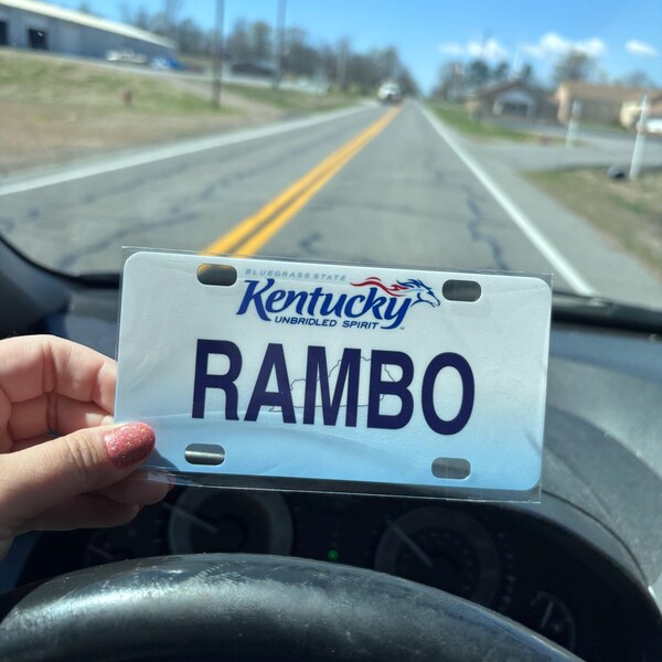 Mini State License Plates - Etsy