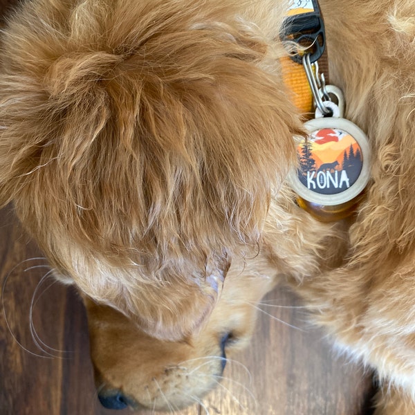 Pet ID Tag | 