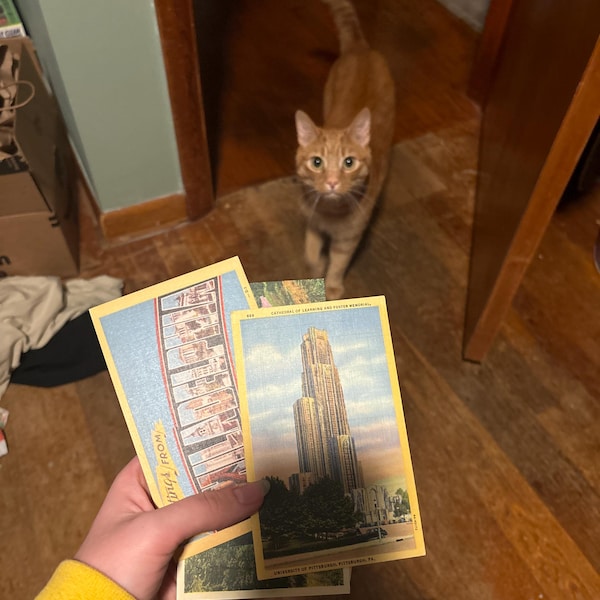Old Postcards Unused - Assortment of Random Vintage Post Cards From ...