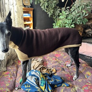 Greyhound, Lurcher & Whippet Lightweight Waterproof Rain Mac/rain ...