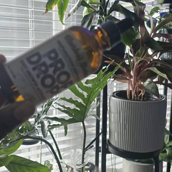 Market Botany Prop Drops - Liquid Propagation Supplement, Root Growth ...