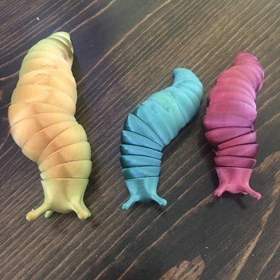 Rainbow Slug Large 3D Printed Slug Multicolor Slug Slinky Fidget Toy ...
