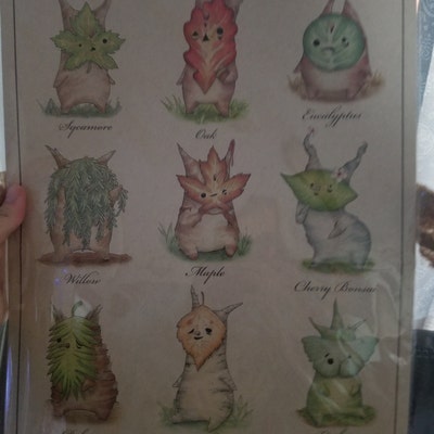 Tree Identification Fine Art Print Giclée Botanical Fine Art Poster - Etsy