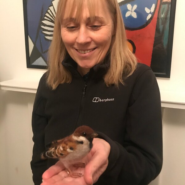 Needle Felted Baby Chick, Wool. Easter Chick, Realistic Toy - Etsy