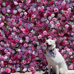 8-bit Ash Ketchum and Pikachu Pokemon Hair Bow Geek Girl Gift - Etsy