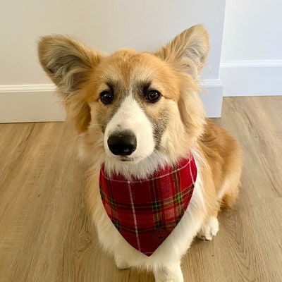 Batty Dog Bandana, Bats and Moons Dog Scarf, Snap on Halloween Dog ...