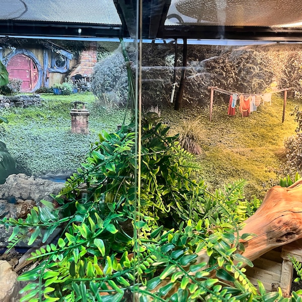Aquarium / Terrarium Background / Hobbit Holes on the Hillside - Etsy