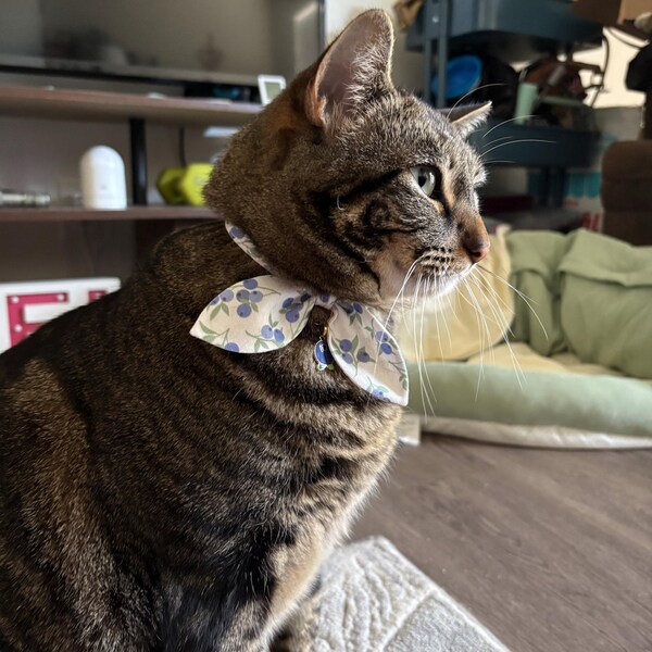 Navy Blue Bow Cat Collar With Silver Bell - Fancy Cat Collar for Pet ...