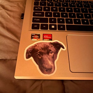 Dead Lift Sticker, Funny Vinyl Sticker, PREMIUM Quality, Laminated ...