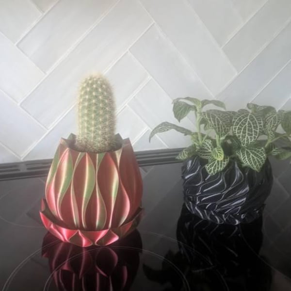 Obsidian Crown Planter, Sculptural Indoor Plant Pot for Orchids ...