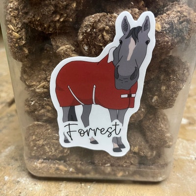 Customizable Animation Horse Sticker Personal Decal Cartoon Horse Gift ...