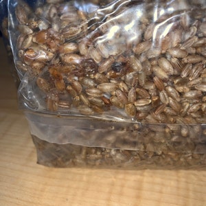 BULK PACK Mushroom Monotub Filter Patch - Etsy