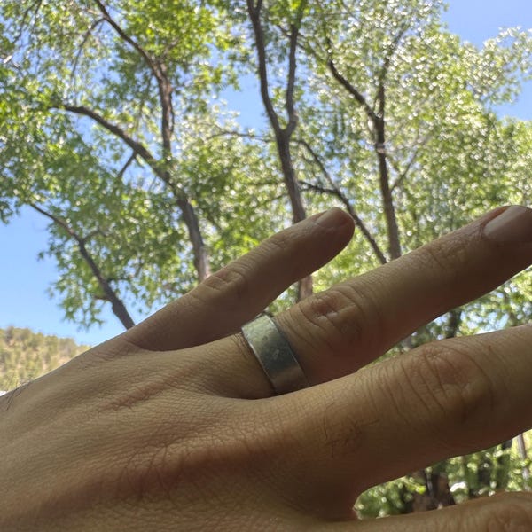 Crystallized Titanium Wedding Band, Titanium Ring, Mens Wedding Band ...