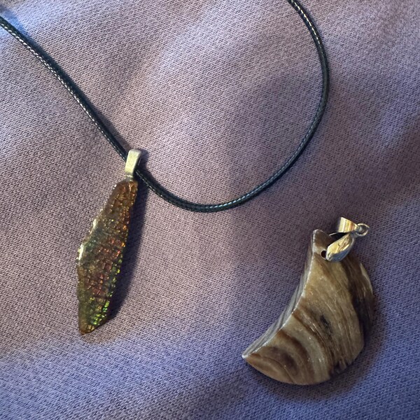 Agatized Turritella Shells - Etsy