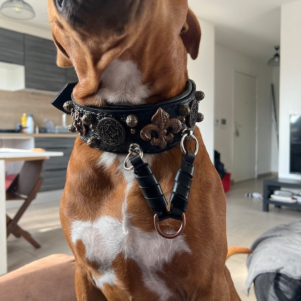 American Bully Leather Dog Collar Handmade , Bully Collar , Padded Dog ...