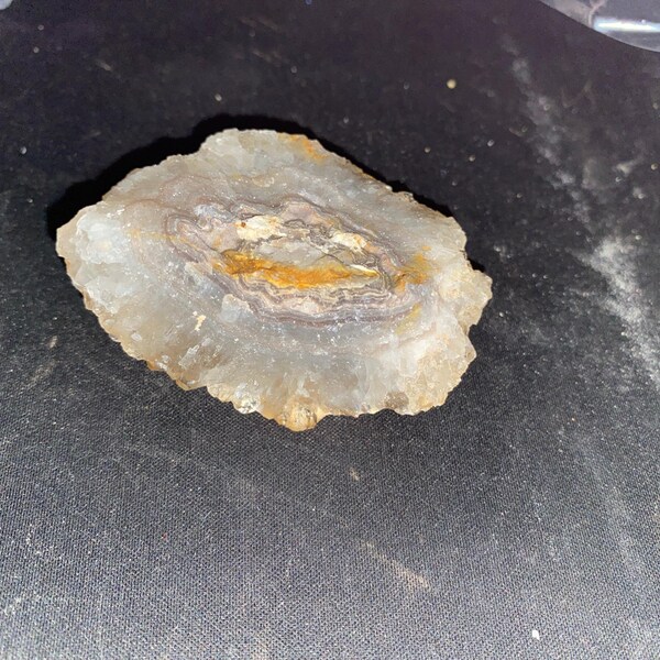 Great Lakes Jar | Sea Shells | Wildflowers | Crystals - Etsy