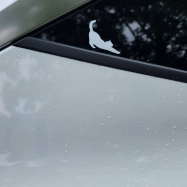 Small Kitty Car Decal, Hidden Easter Egg Decal, Car Sticker - Etsy