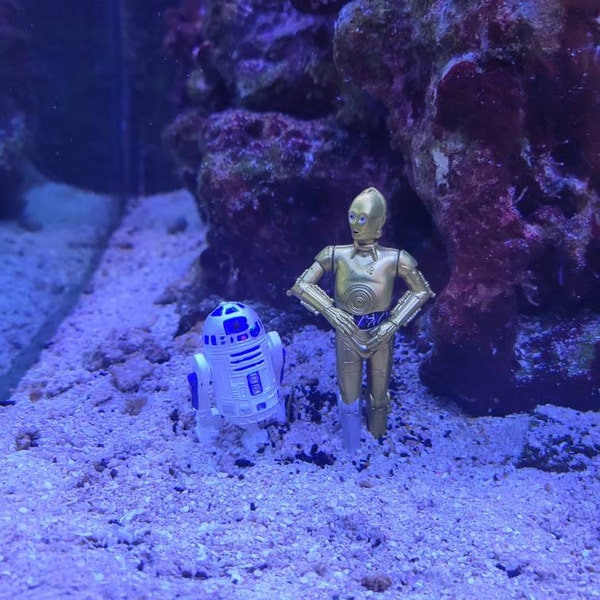 Lilo and Stitch Aquarium Decor - Etsy