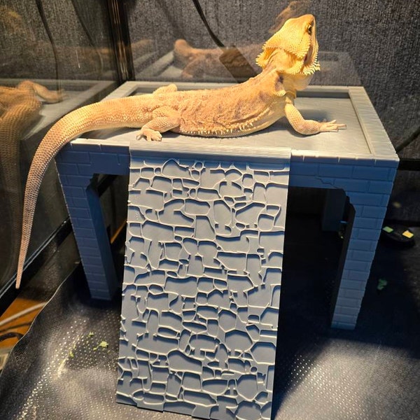 Bearded Dragon Castle Basking Spot | Side Entry Slate Topped Reptile ...