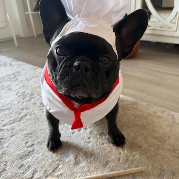 Halloween Chef Dog Cat Pet Costume, Kitchen Helper Assistant Costume ...