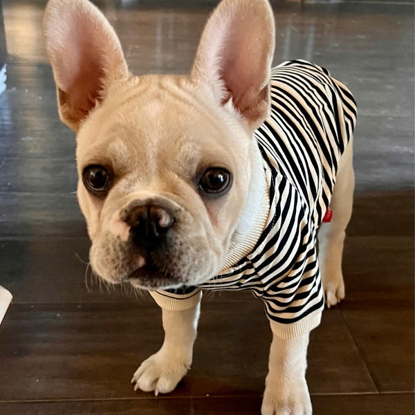 Frenchie Clothes, Frenchie Bulldog Clothes and Sweater - Etsy
