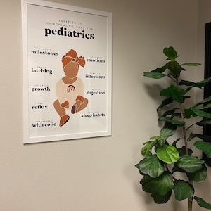Chiropractic ANS Chart Nervous System Poster Subluxation - Etsy