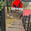 Chicken Coop Sign Jurassic Bawk T-rex Dinosaur Outdoor Wood Chicken ...
