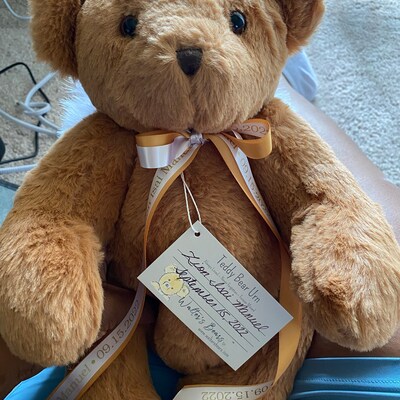 Teddy Bear Urn Custom Ribbon Urns for Human Ashes Huggable Urn Urn for ...