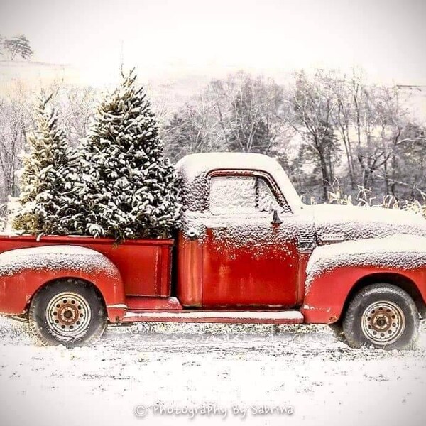 Don’t Feed the Bears Sign/ Camping Themed Table Sign, Camping Party ...