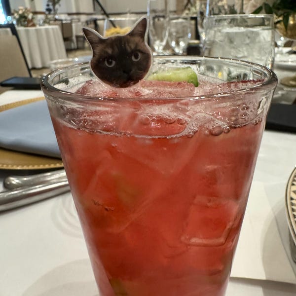 Wedding Pet Stir Sticks, 50 Pcs Double-sided Dog Stir Stick, Watercolor ...