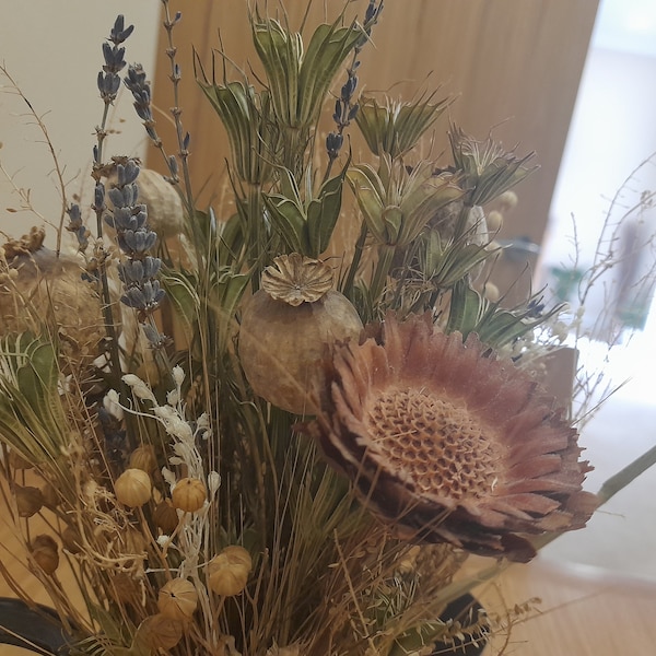 Nigella Pods Bunch | Dried Seed Pods | Love in a Mist Pods | Nigella ...