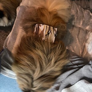 Dog Hygiene Knickers / Dog Season Pants Handmade by Me MADE TO ORDER by ...