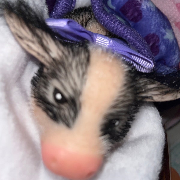 Silicone Animal Lockable Paw Cage - NO ANIMAL INCLUDED - Reborn ...