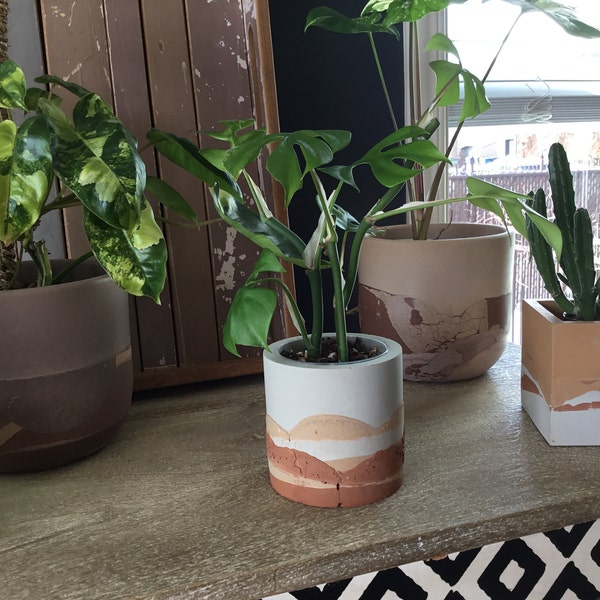 Handmade Concrete Plant Pot: Desert Inspired Southwestern Planter - Etsy