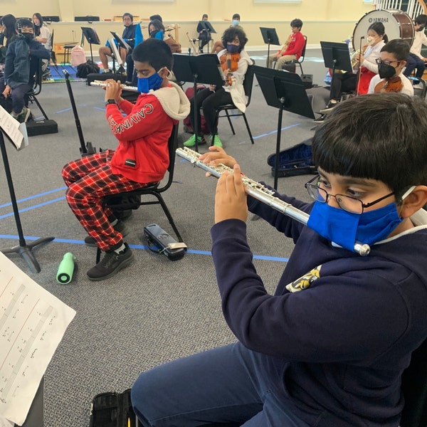 Flute Mask Face Covering, Musical Instrument Mask, Band Face Mask ...