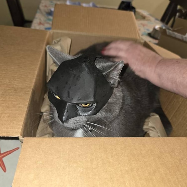 Batcat Mask, Catman the Dark Meow Cat Bat-mask Funny Halloween Costume ...