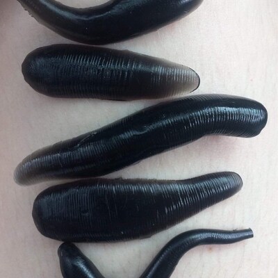 Larp Safe Rubber Leeches, Larp Medic, 5 Pack, Leach Healer, Plague ...