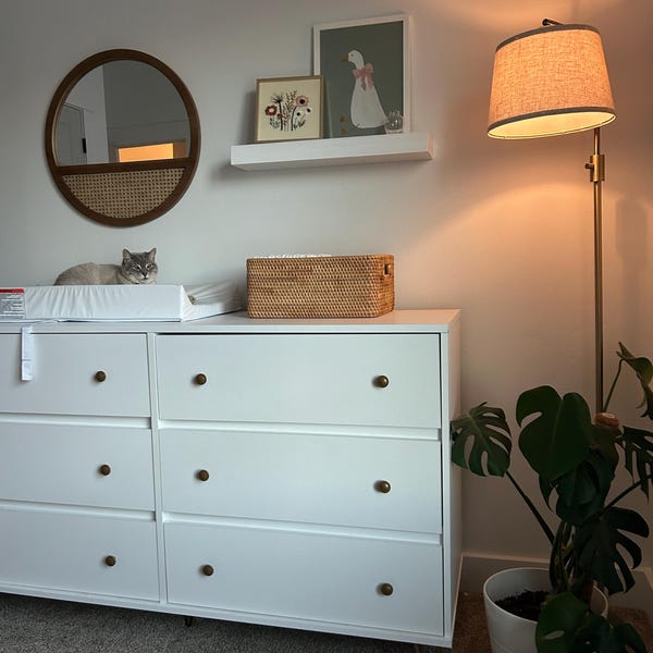 Silly Goose Wall Art, Cute Goose Poster, Girl Nursery Decor, Farm ...