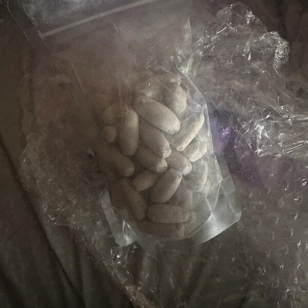 Natural Chewing Sponge,taakotsa,sawie From Ghana (100g) - Etsy