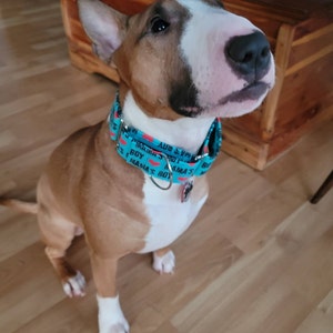 Aztec 2 Inch Dog Collar 1 Inch Wide Dog Collar Large Dog - Etsy