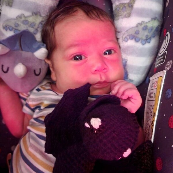 Bat Rattle, Goth Baby, Crochet, Bat Nursery, Alternative Style ...